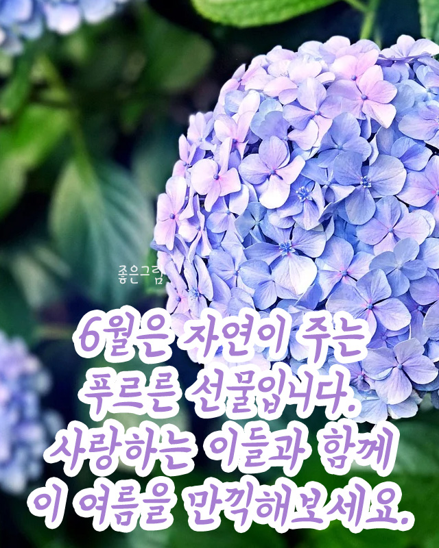 러빗미니 : 러브비트-NCSOFT