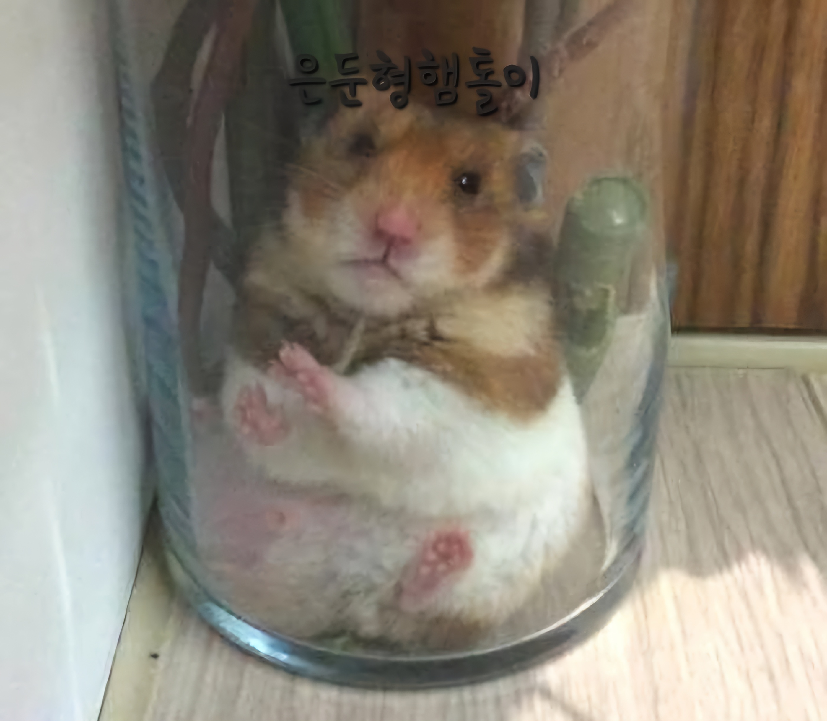 러빗미니 : 러브비트-NCSOFT