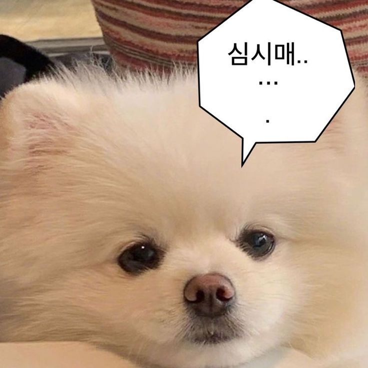 러빗미니 : 러브비트-NCSOFT