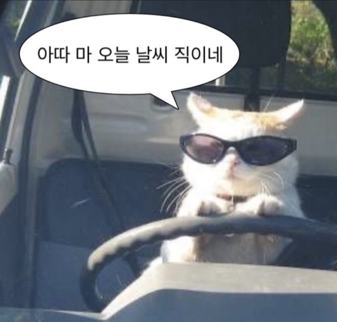 러빗미니 : 러브비트-NCSOFT