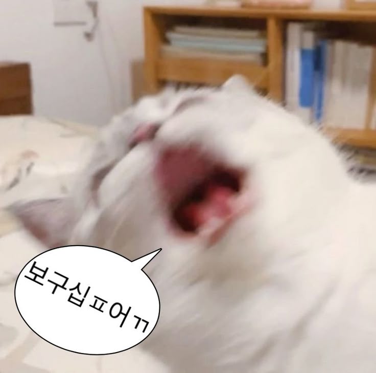 러빗미니 : 러브비트-NCSOFT